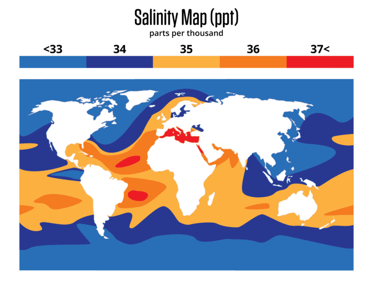 Salinity in saltwater - Water Rangers