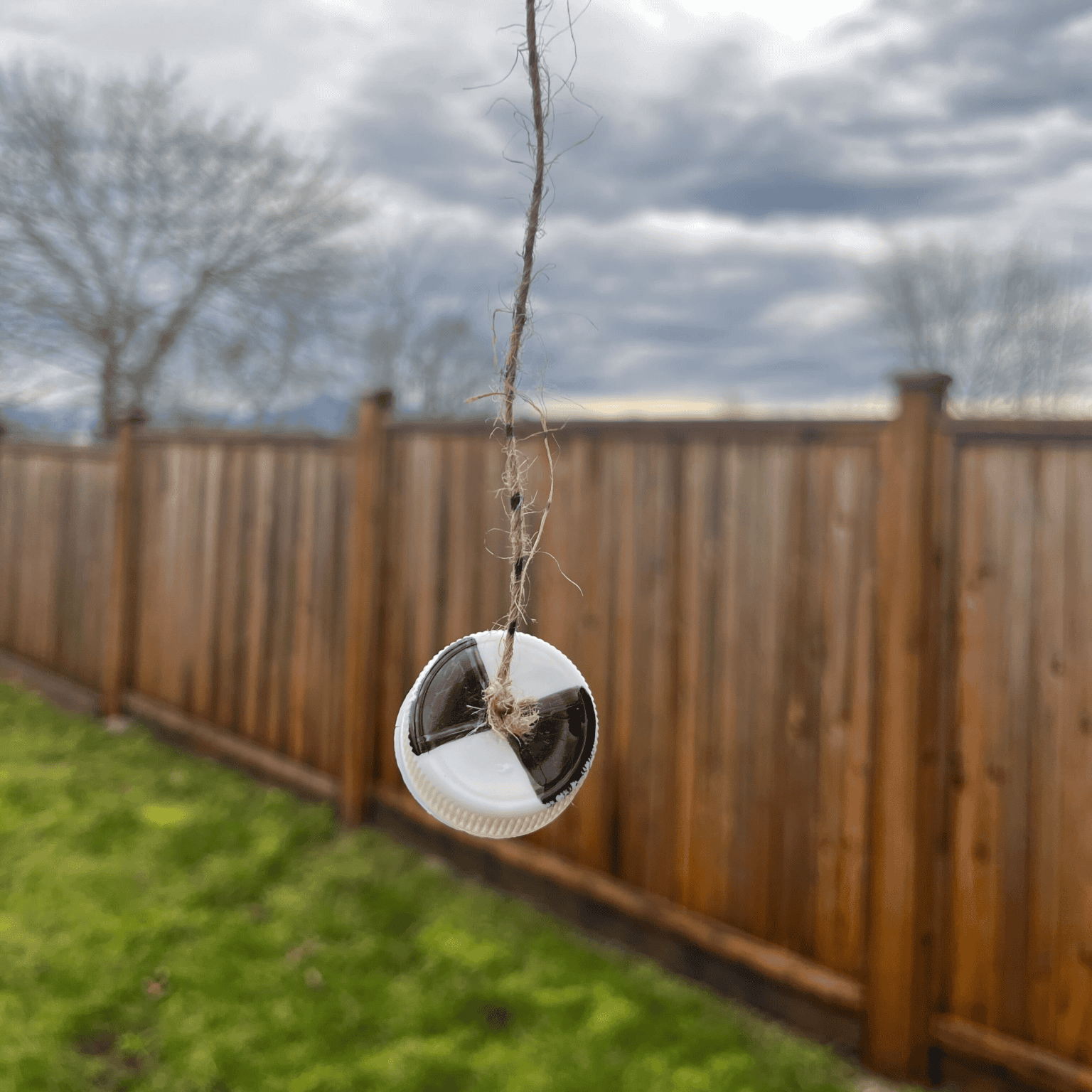 Exploring water clarity with a DIY Secchi disk - Water Rangers