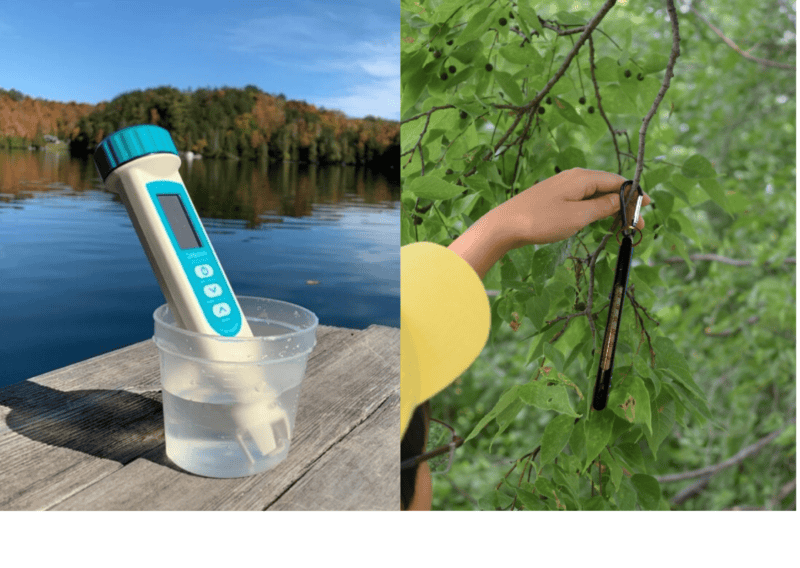 Water dynamics: temperature, salinity and density - Water Rangers